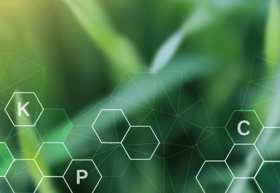 EcoTwistPaper Flexible Packaging – Constantia Flexibles